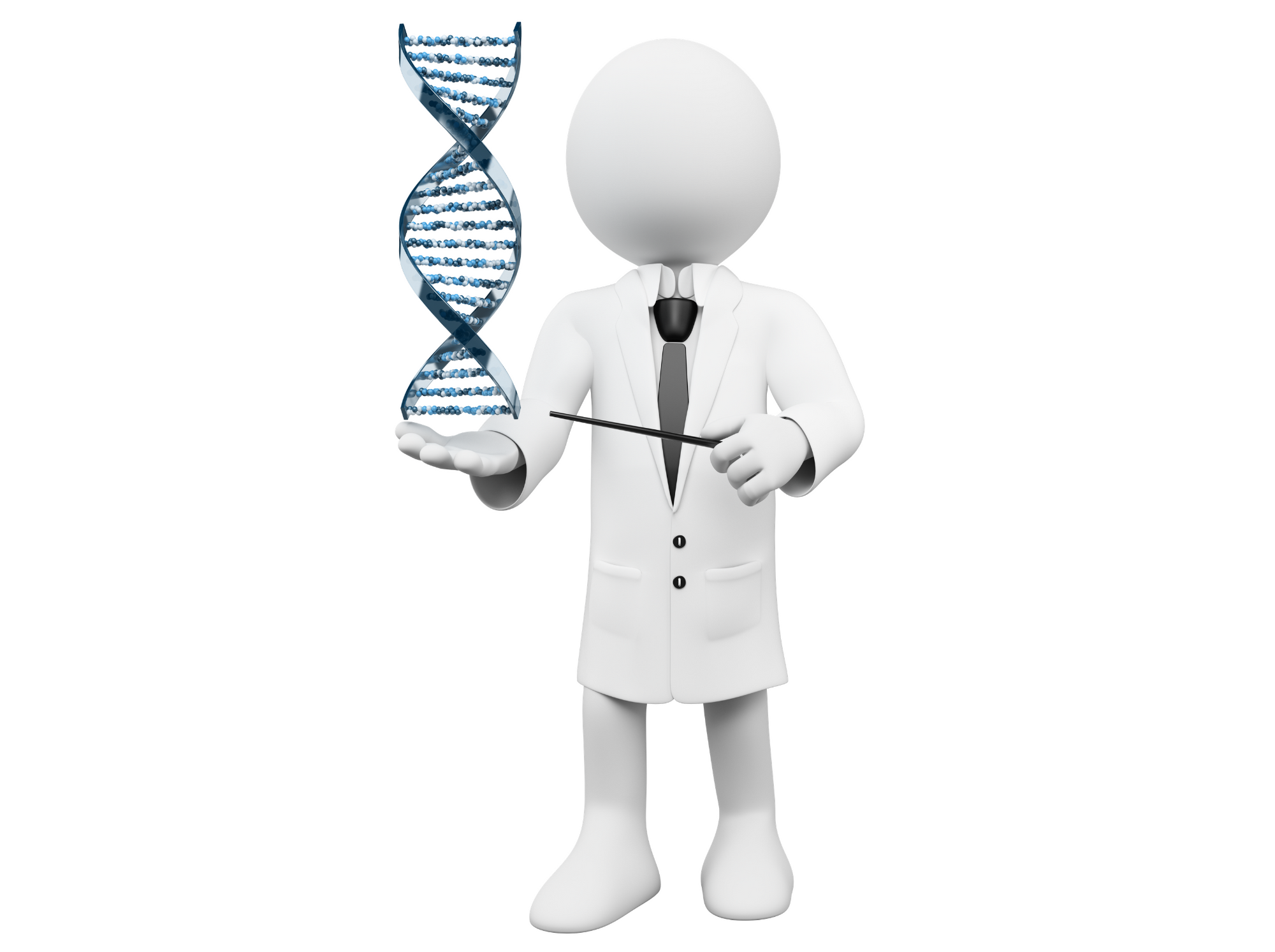 Understanding the New Screening Guidelines for Kidney Health and Wilms ...